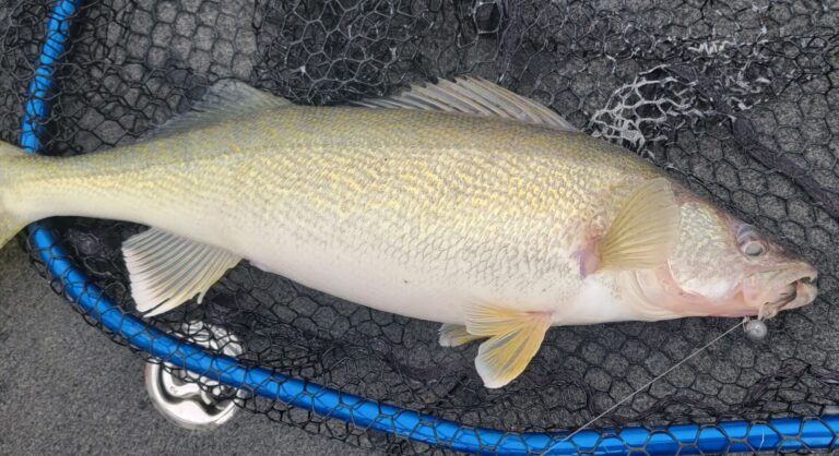 How to Get an Ohio Fishing License — 2026