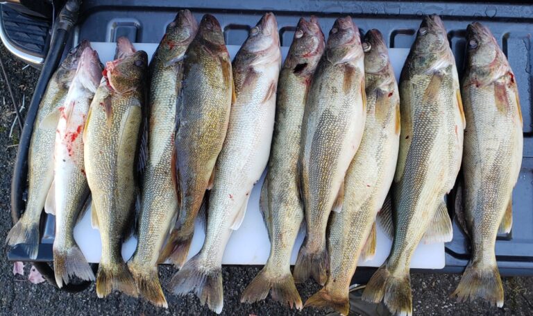 June 2026 - Lake Erie Fishing Report